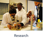 Help with your Research | ICCROM